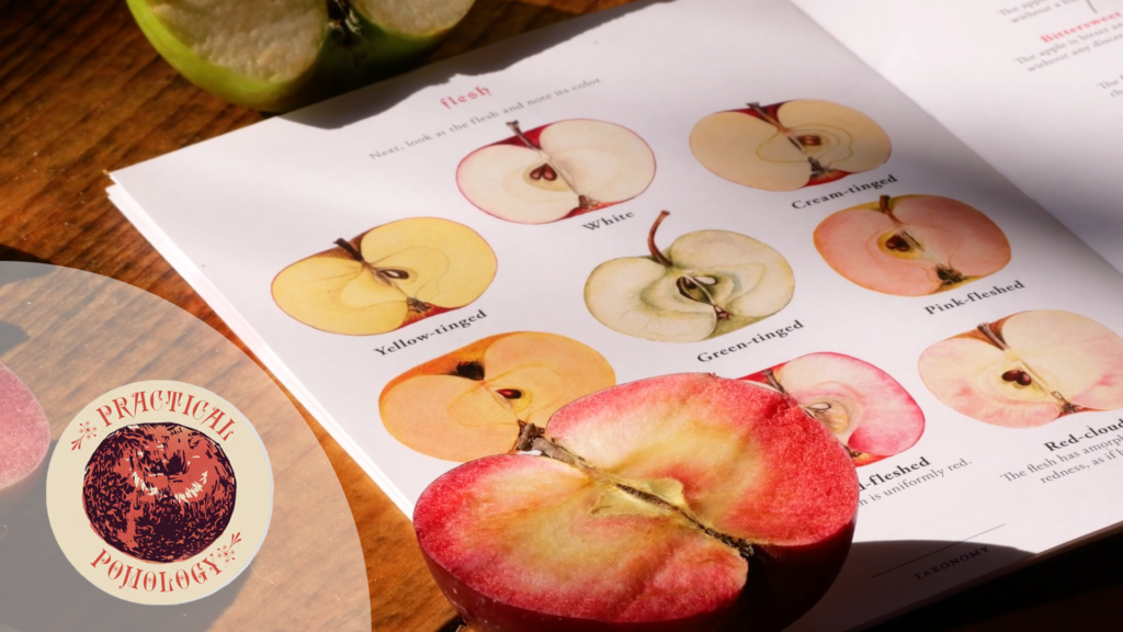 Practical Pomology Launch Video - No Umbrella Media LLC